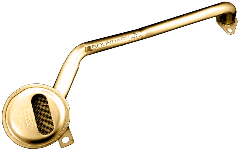 Boundary 99-14 Ford Modular Motor (All Types) V8 Pickup Tube – Rhino ...